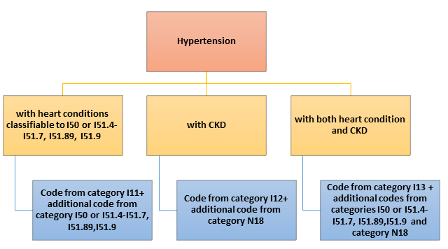 Hypertension ICD 10 Code Guidelines With Examples